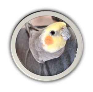 【Google Cloud】Vertex AI Vector Searchでハイブリット検索を実装しよう！ - Sight-R（サイタル）